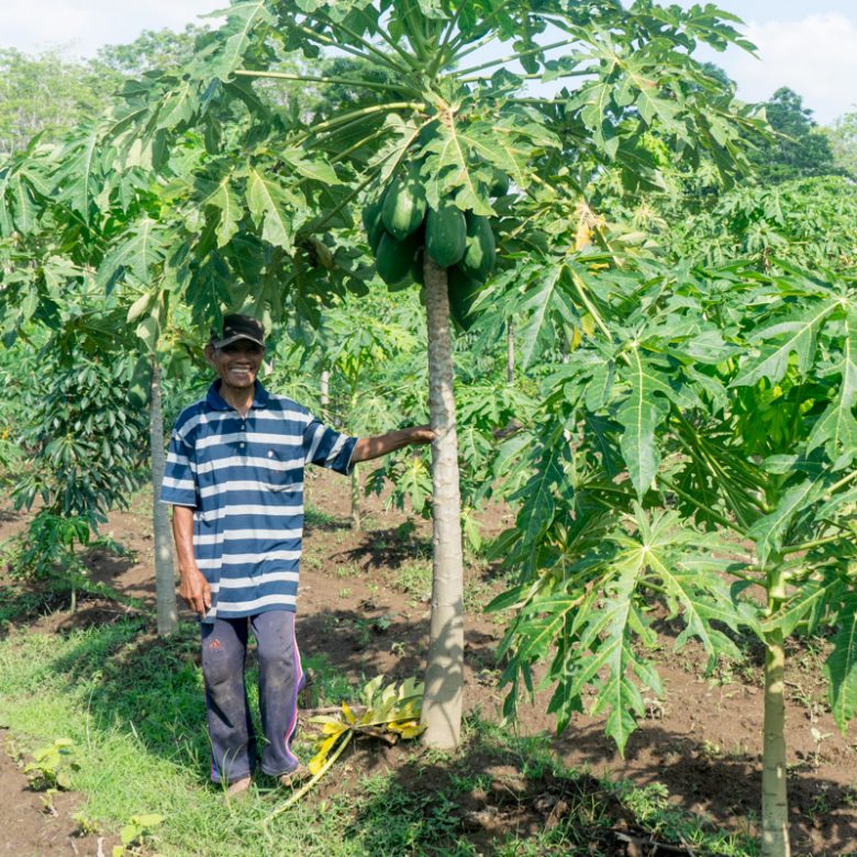 Our Story - Jurassic Fruit Blog