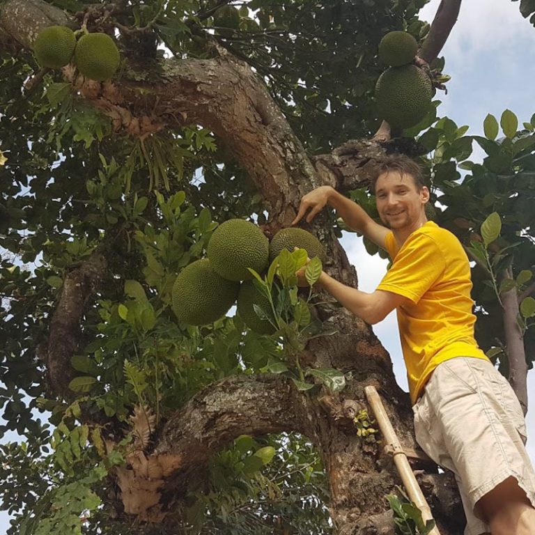 Our Story - Jurassic Fruit Blog