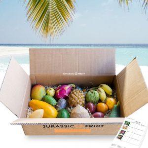 Our Story - Jurassic Fruit Blog