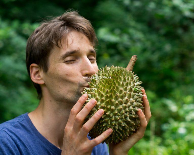Durian : goût, bienfaits et comment le manger - Le Blog de Jurassic Fruit