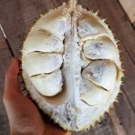 Durian : goût, bienfaits et comment le manger - Le Blog de Jurassic Fruit