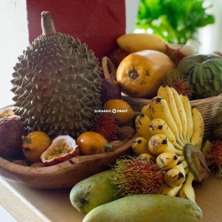 Durian : goût, comment le manger et bénéfices santé - Le Blog de ...